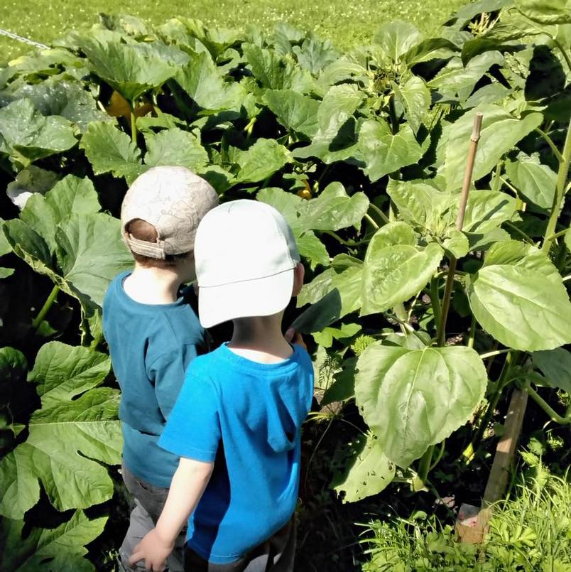 Banana Moon Barnstaple | Our Veggie Patch